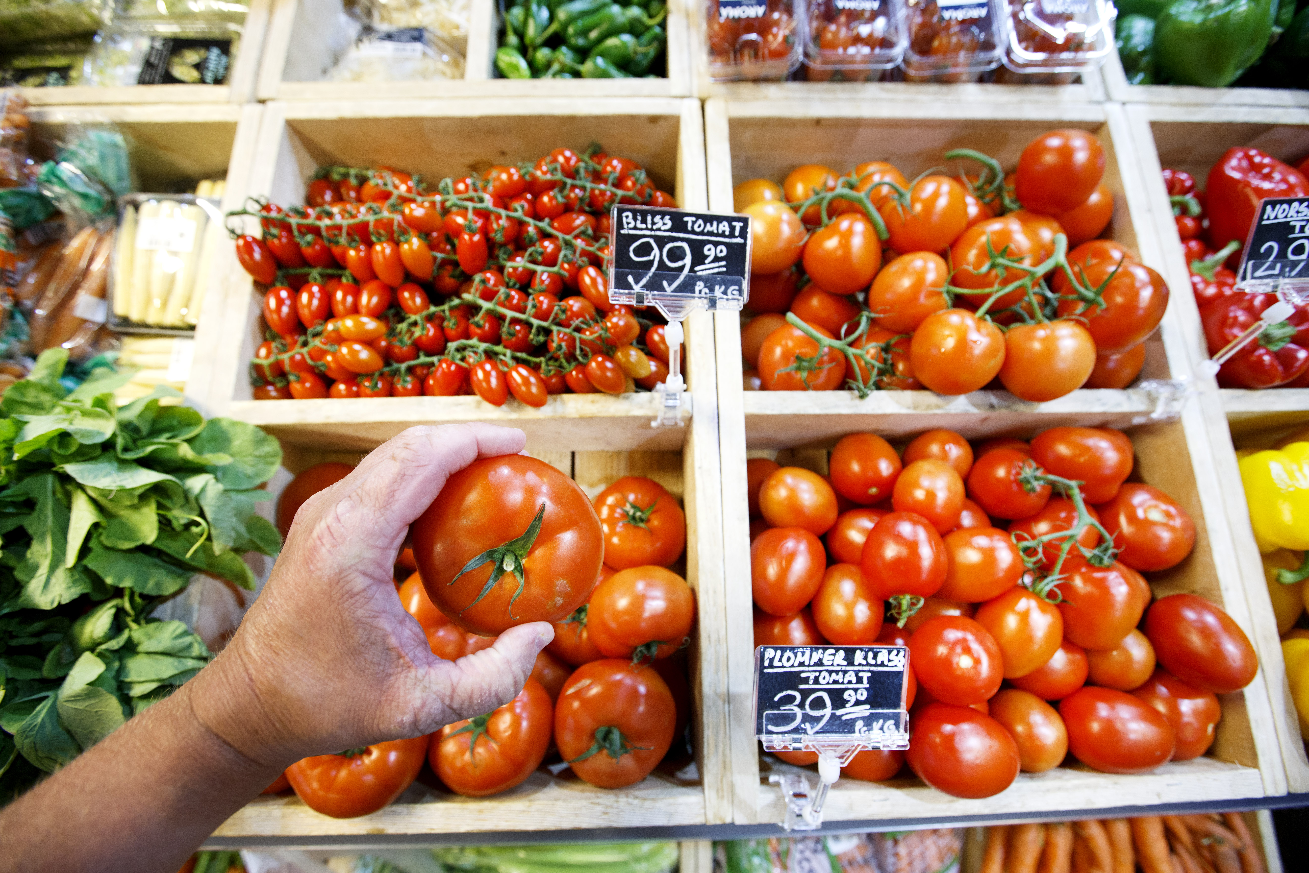Varslar tomatmangel i vinter