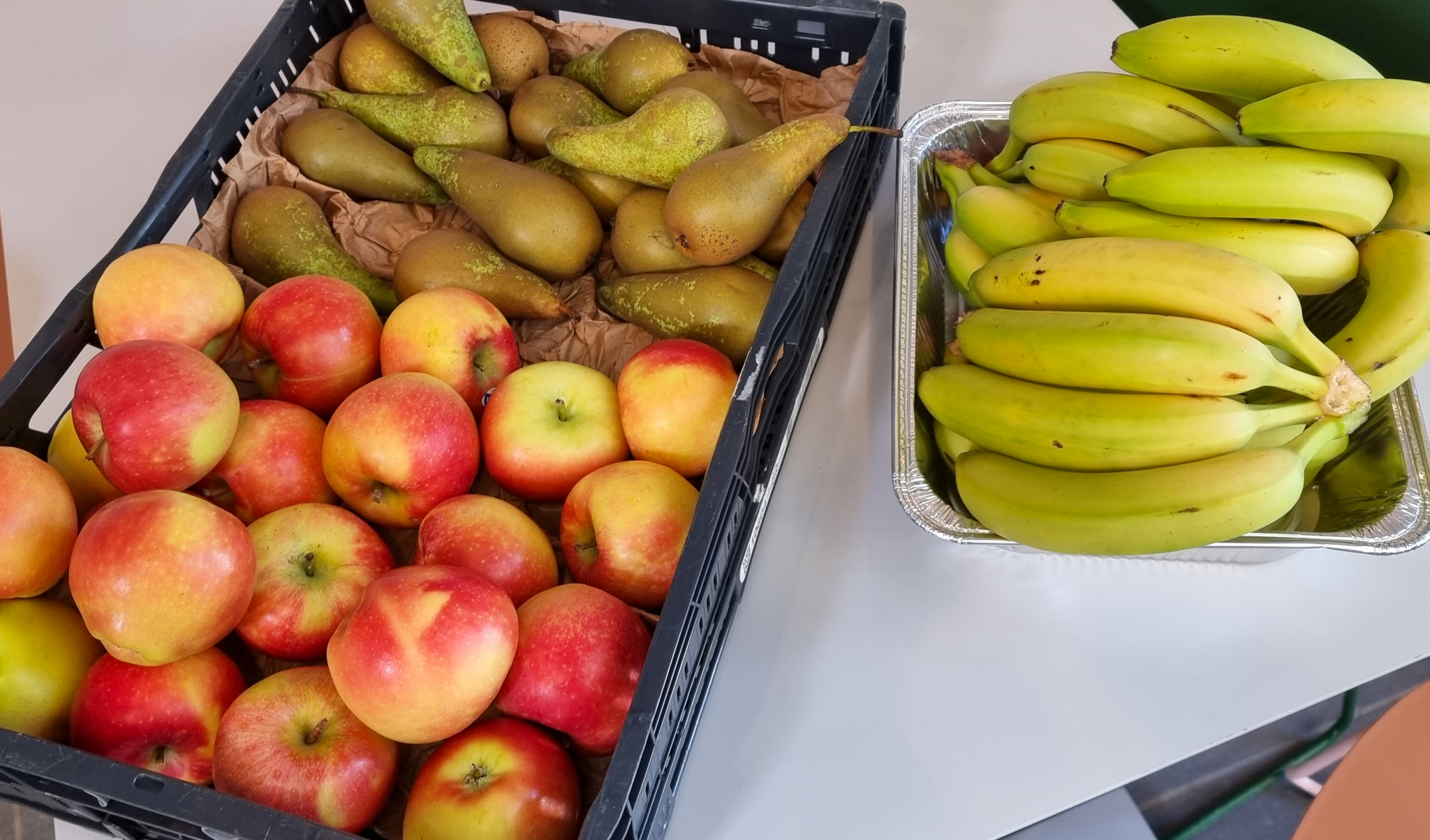 Samlet 4H-klubber fra hele Hordaland