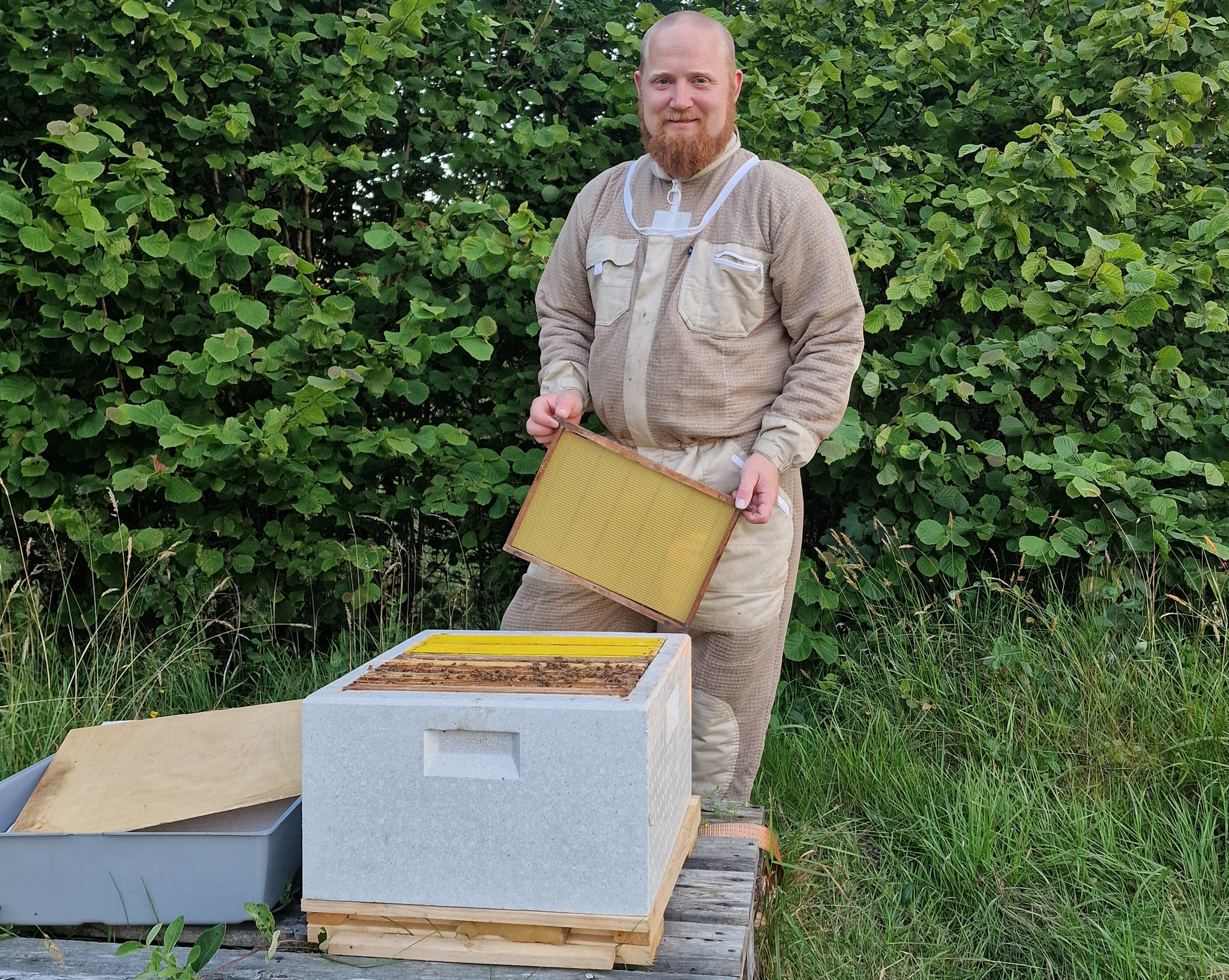 Frode plukker giftig plante for å beskytte dyr og bier